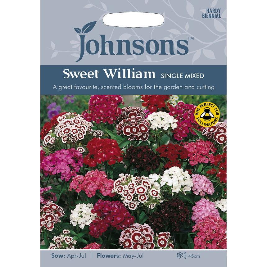 【種子】Johnsons Seeds Sweet William Single Mixed スイート・ウイリアム（なでしこ） シングル ...