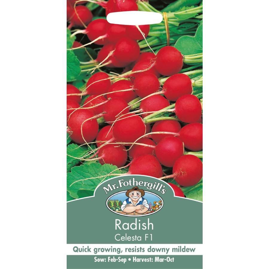 ブランド登録なし 【種子】Mr.Fothergill's Seeds Radish Celesta F1 ラディッシュ・セレスタ・F1 ...