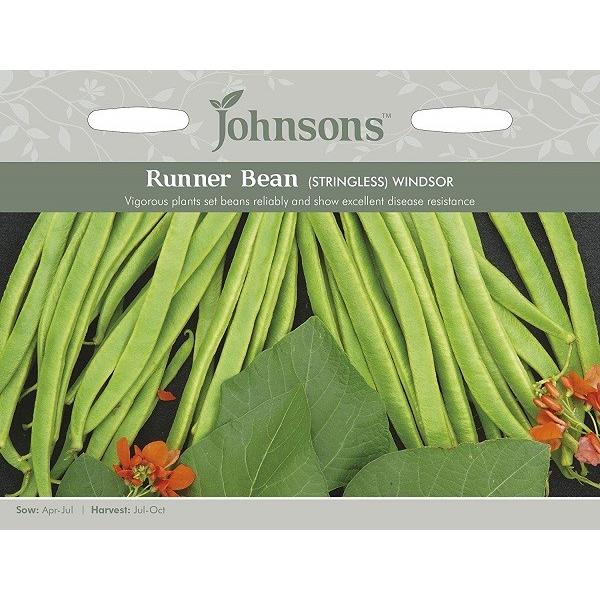 【種子】Johnsons Seeds Runner Bean (STRINGLESS) WINDSOR ランナー・ビーン・(ストリングレス ...