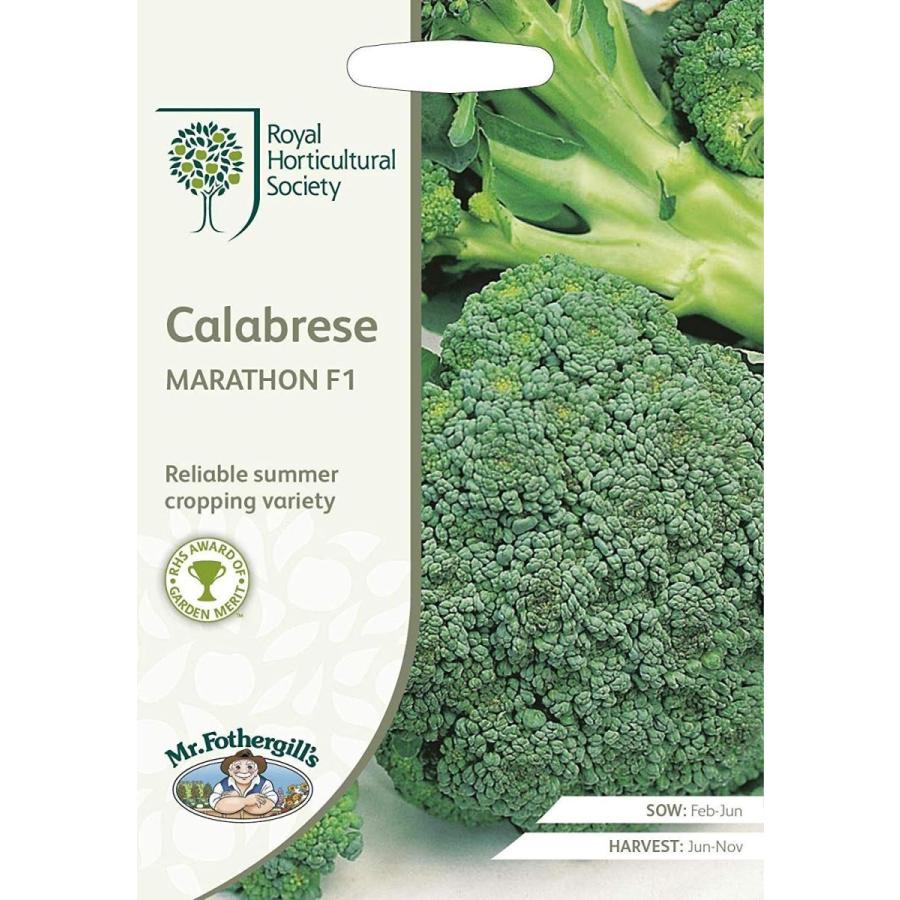 【種子】Mr.Fothergill's Seeds Royal Horticultural Society Calabrese ...