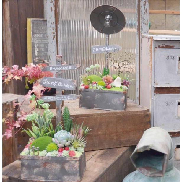 azi-azi ランプシェードプランター : Gardener s Shop Ivy - 通販 - Yahoo!ショッピング