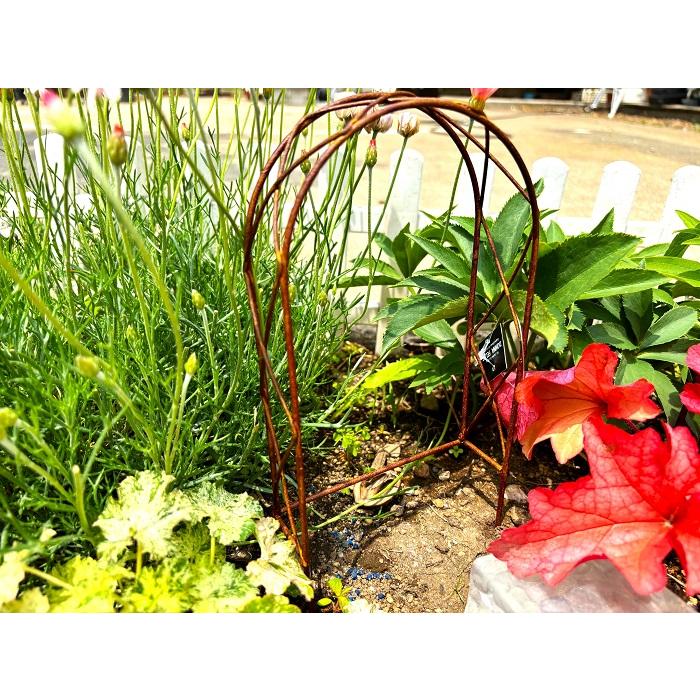 MURATAYA ミニガーデンアーチ 4649 : Gardener s Shop Ivy - 通販 - Yahoo!ショッピング