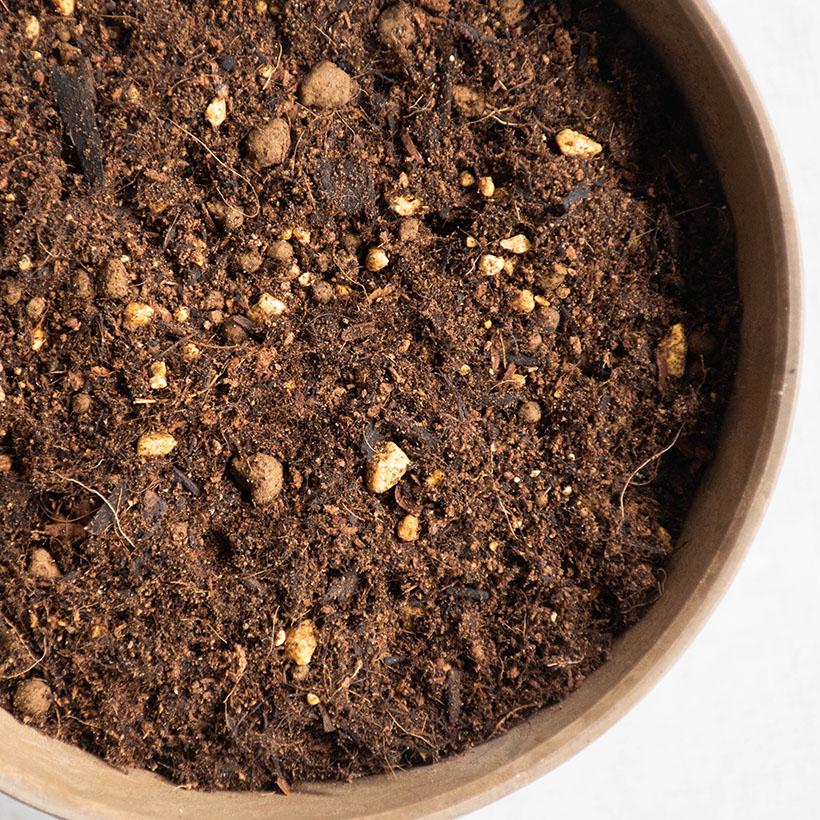 培養土 観葉植物の土 14L PROTOLEAF プロトリーフ : ガーデンマート Yahoo!店 - 通販 - Yahoo!ショッピング