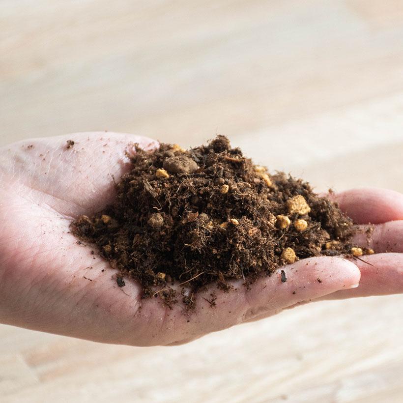 培養土 観葉植物の土 14L PROTOLEAF プロトリーフ : ガーデンマート Yahoo!店 - 通販 - Yahoo!ショッピング