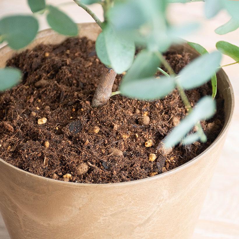 培養土 観葉植物の土 14L PROTOLEAF プロトリーフ : ガーデンマート Yahoo!店 - 通販 - Yahoo!ショッピング