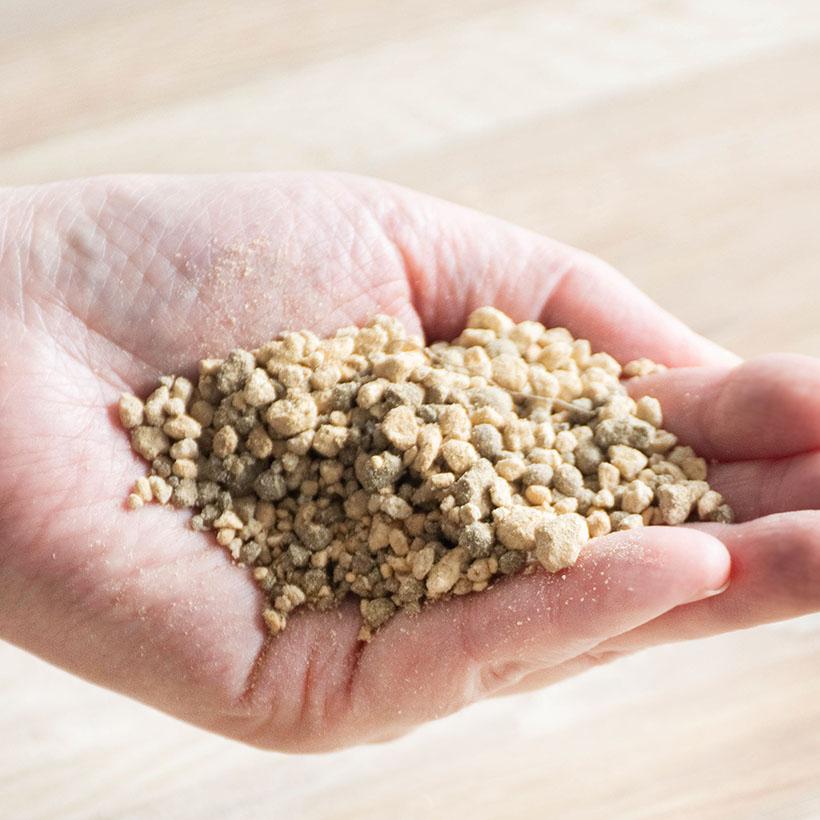 培養土 室内向け観葉・多肉の土 3.5L PROTOLEAF プロトリーフ :pl-245643:ガーデンマート Yahoo!店 - 通販 - Yahoo!ショッピング