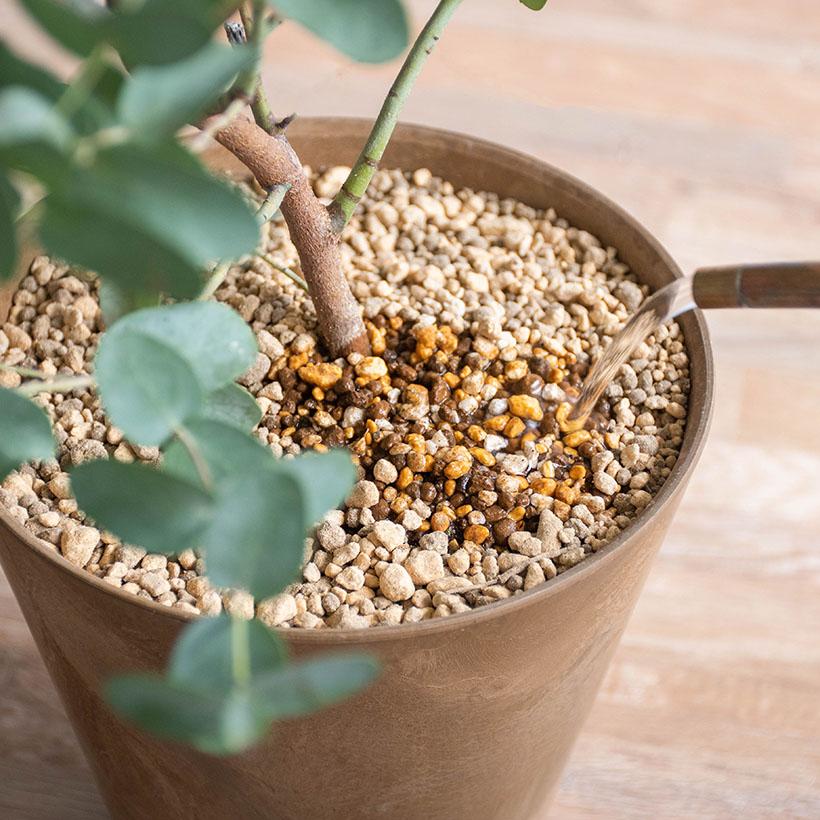 培養土 室内向け観葉・多肉の土 3.5L[PROTOLEAF プロトリーフ] :pl-245643:ガーデンマート Yahoo!店 - 通販 - Yahoo!ショッピング