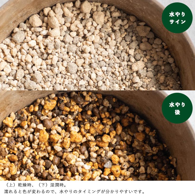 培養土 室内向け観葉・多肉の土 3.5L PROTOLEAF プロトリーフ :pl-245643:ガーデンマート Yahoo!店 - 通販 - Yahoo!ショッピング