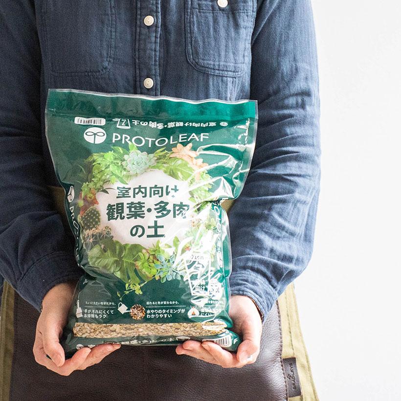 培養土 室内向け観葉・多肉の土 3.5L PROTOLEAF プロトリーフ :pl-245643:ガーデンマート Yahoo!店 - 通販 - Yahoo!ショッピング