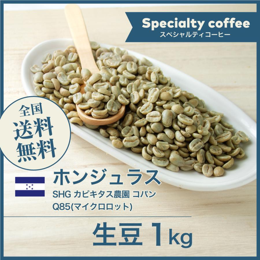 生豆 コーヒー 1kg ホンジュラス SHG カピキタス農園 コパン Q85(マイクロロット) 送料無料 大山珈琲 ポイント利用 : 自家焙煎コーヒー豆と石窯パン専門店ガウディ - 通販 ...