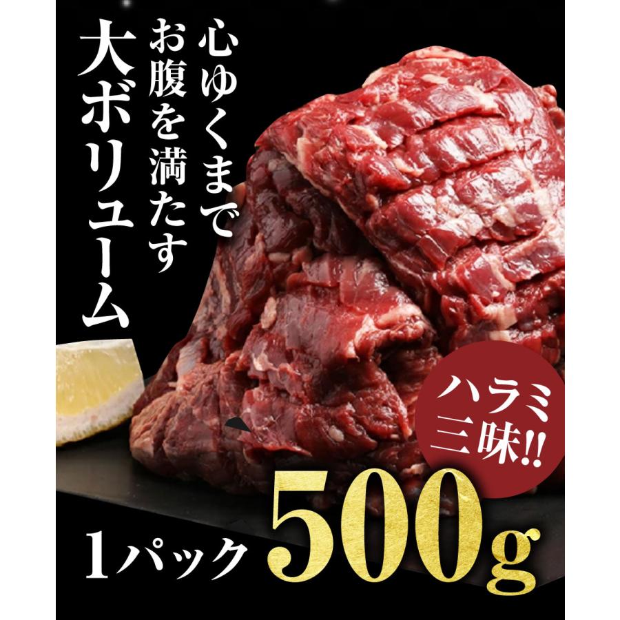 ハラミ ハラミステーキ 500g 焼肉 牛肉 肉 BBQ バーベキュー はらみ 牛はらみ 厚切りハラミ : 肉卸直営 びっくり市の激肉王 ...
