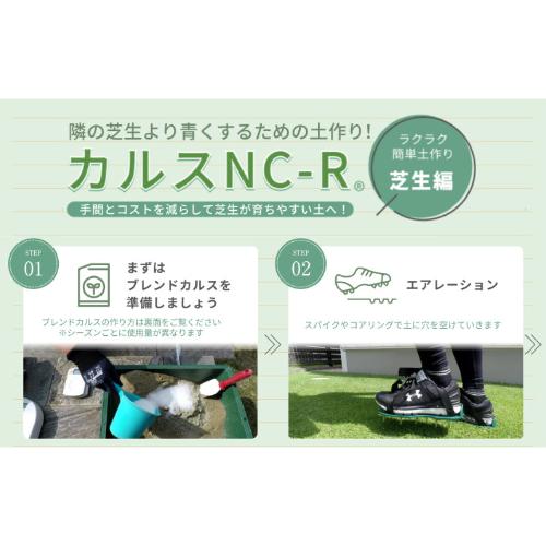リサール酵産 カルスNC-R 1kg 粉状 土壌改良資材 カルスncr : ヒラキショウジ - 通販 - Yahoo!ショッピング