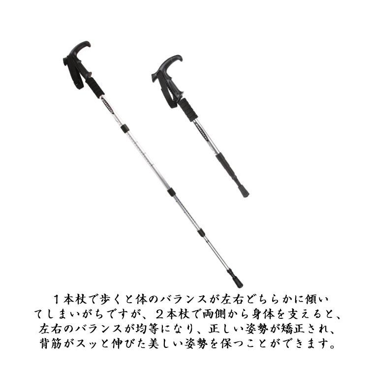 2本セット 高齢者 ウォーキングポール T字型 介護 トレッキングポール 軽量アルミ製 ウォーキングステッキ ふらつき防止 ノルディック杖 転倒防止 : gem7 - 通販 - Yahoo ...