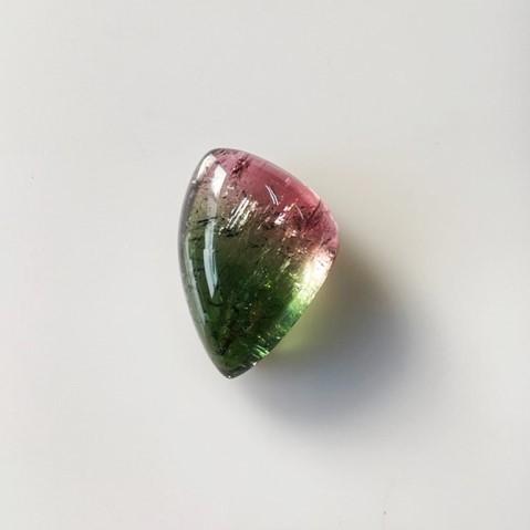 バイカラートルマリン 変型 カボション 22.85ct ルース : gem-ichinoseYahoo!店 - 通販 - Yahoo!ショッピング