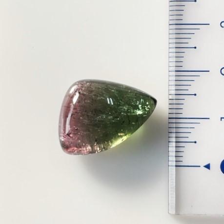 バイカラートルマリン 変型 カボション 22.85ct ルース : gem-ichinoseYahoo!店 - 通販 - Yahoo!ショッピング