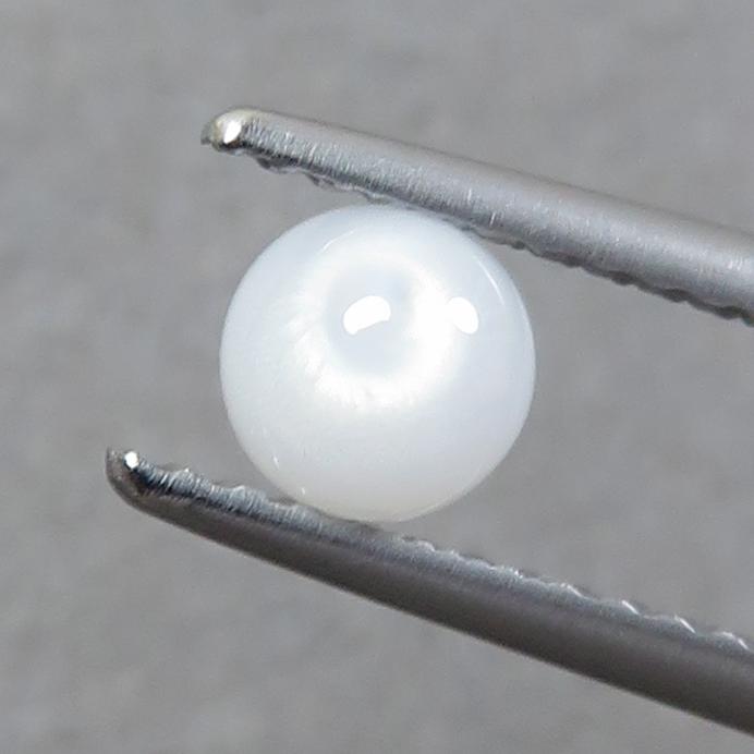 トリダクナパール(シャコ真珠)(0.70ct) : tridaqna070 : ジェムインターネットTOKYO - 通販 - Yahoo!ショッピング