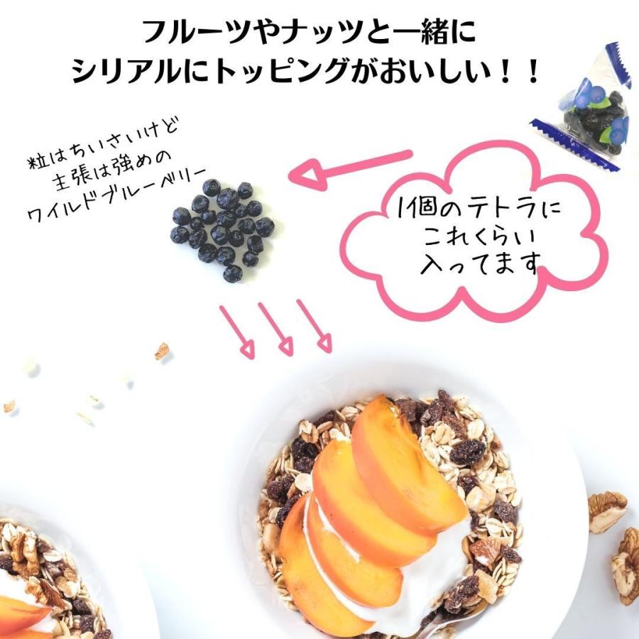 ドライフルーツ ブルーベリー 個包装 アメリカ産 タクマ食品 まいにちワイルドブルーベリー 142g 2袋 送料無料 メール便 : 元氣になれ! - 通販 - Yahoo!ショッピング