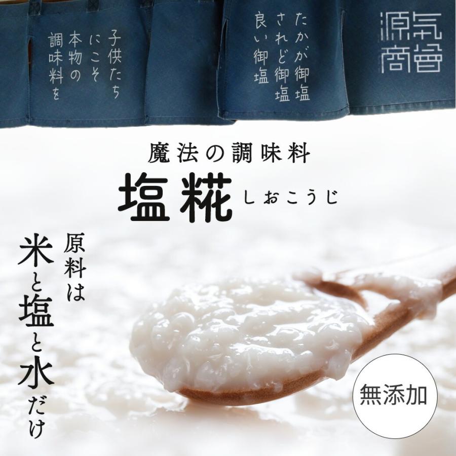 源気商會 【クール便送料込】無添加 塩麹 クリスタル塩糀 300gx2個セット パウチ クリスタル岩塩 あきたこまち使用 : こだわりの塩専門店 源気商会 - 通販 - Yahoo!ショッピング