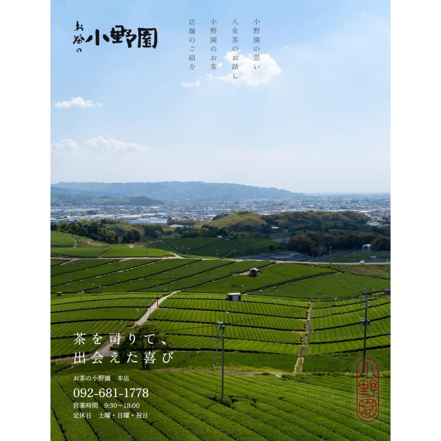 お茶 緑茶 茶葉 小野園のお茶 飲み比べ2袋セット（白折130g、煎茶150g） 【メール便送料無料】[M便 1/2]【九州茶 1000円ポッキリ】 : 源宗園 - 通販 - Yahoo!ショッピング