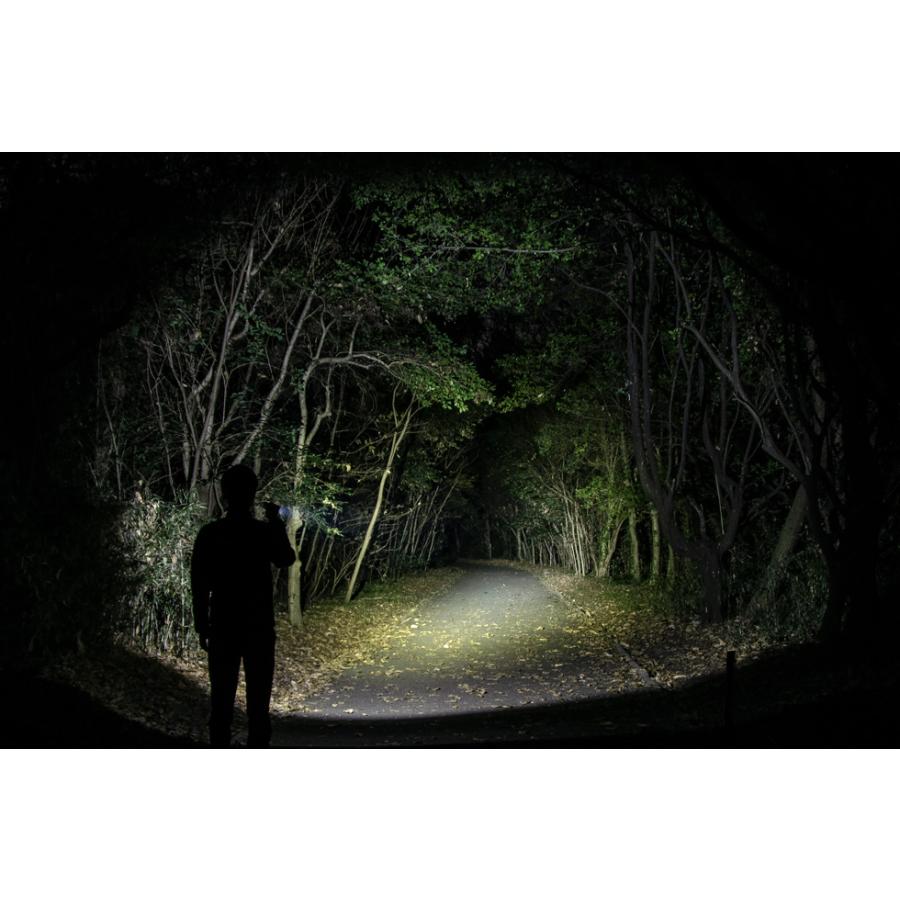 GENTOS フラッシュライト 懐中電灯 led ジェントス ST-033D : GENTOS公式ストアYahoo!ショッピング店 - 通販 - Yahoo!ショッピング