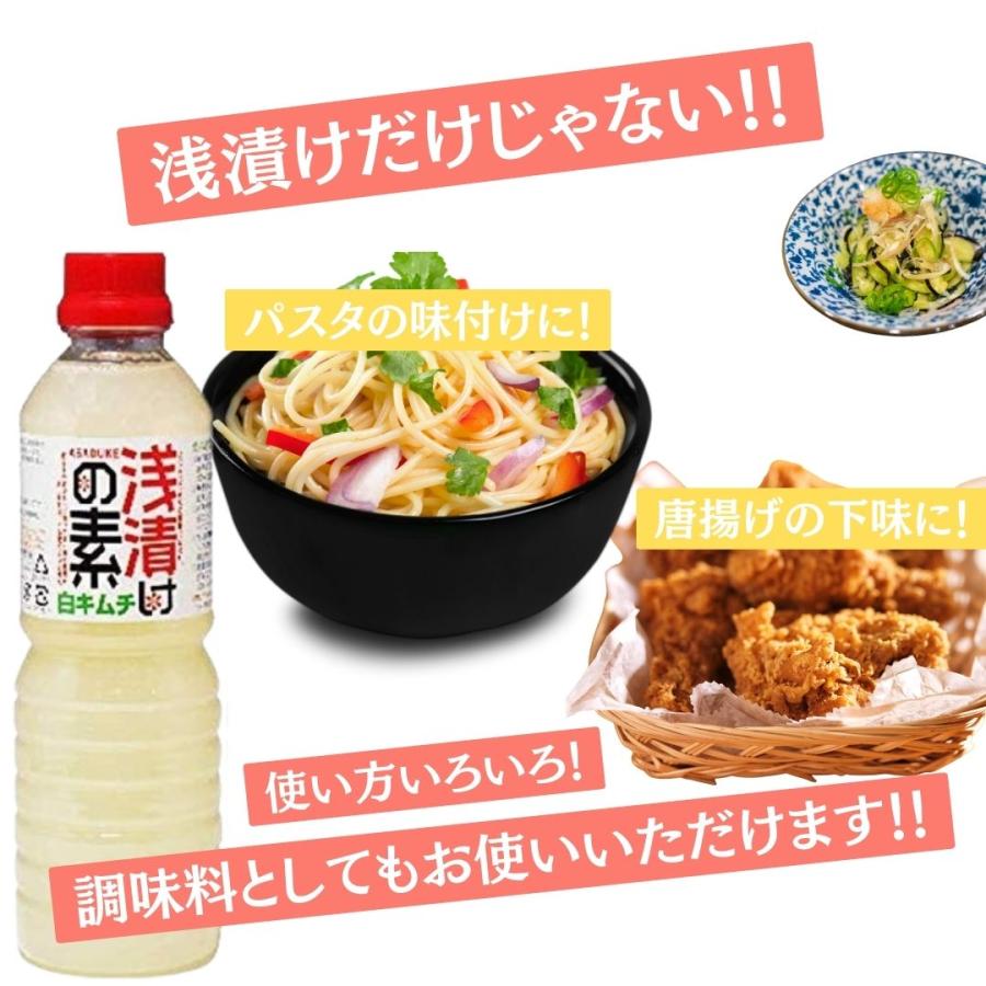 北杜食品 浅漬けの素白キムチ 500ml 3本セット : ごちそうさまストア - 通販 - Yahoo!ショッピング