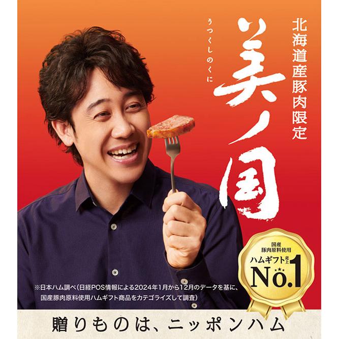 お歳暮ギフト 日本ハム 北海道 プレミアム 美ノ国 UKH-53 熟成ももハム 肩ロース生ハム 熟成ビアシンケン 熟成あらびきウインナー など 手土産 お供え 送料無料 : ギフト広場 ...
