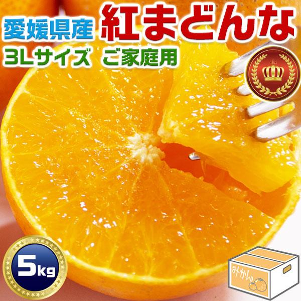 紅まどんな 5kg 3Lサイズ みかん 愛媛県産 JAの正規品(愛果28号) 高糖度 JA選果 紅マドンナ お歳暮 お正月 : ギフト広場 - 通販 - Yahoo!ショッピング
