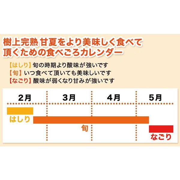 甘夏(あまなつ) 秀品 贈答用 8kg L〜3Lサイズ 1箱 愛媛県産 サイズお任せ 出荷日お任せ 指定日不可 送料無料 : ギフト広場 - 通販 - Yahoo!ショッピング