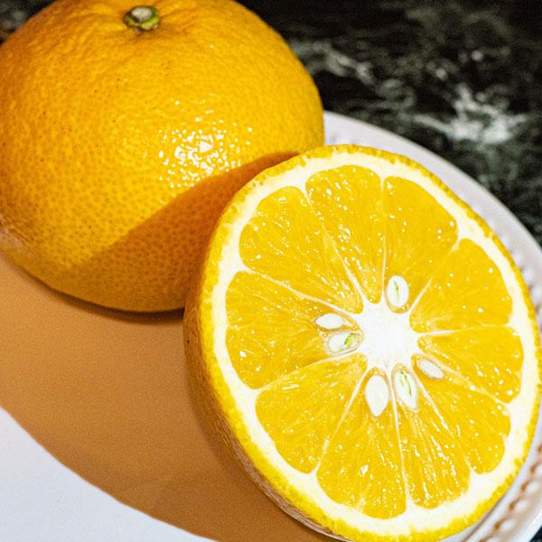 甘夏(あまなつ) 秀品 贈答用 8kg L〜3Lサイズ 1箱 愛媛県産 サイズお任せ 出荷日お任せ 指定日不可 送料無料 : ギフト広場 - 通販 - Yahoo!ショッピング