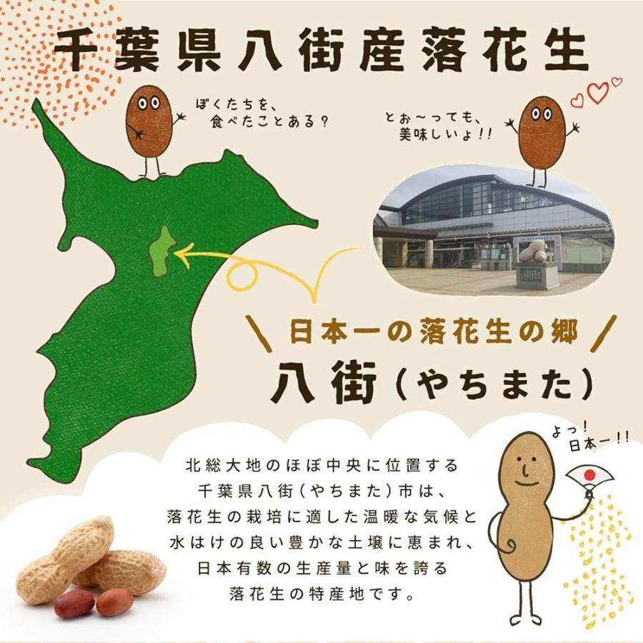 千葉県八街産落花生 フクヤ商店 バターピーナッツ 410g 国産 八街市推奨品種 千葉半立（はんだち）種 バタピー : 0813-007564 : ギフト - 通販 - Yahoo!ショッピング