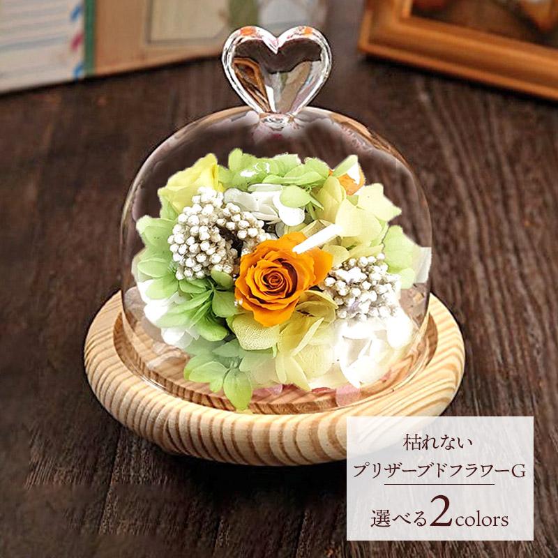 敬老の日 2025 花 SOUP ガラスドームアレンジメント 枯れないプリザーブドフラワーG 4,820円 (税 送料込)選べる2種 造花 お花 プリザ 送料無料 SPPZG : ギフト百花 ...