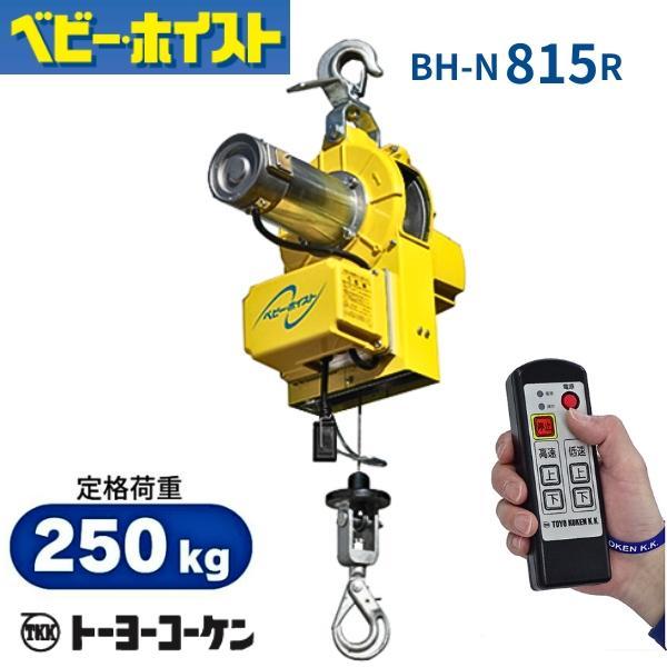 トーヨーコーケン ベビーホイスト BH-E815R 小型吊下げ式巻上機 定格荷重250kg TKK : GO&GO - 通販 - Yahoo!ショッピング