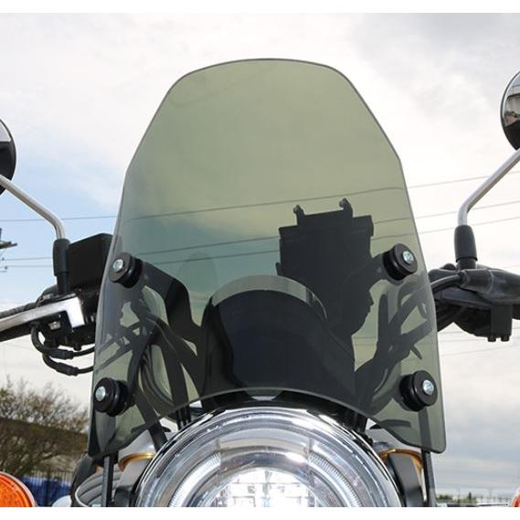T-Rex Racing モンキー 2019-2023 ウインドスクリーン グレースモークTransparent N30 ...