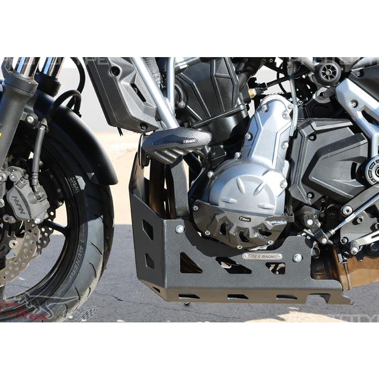 T-Rex Racing Ninja650 2017-2024 エンジンケースカバー N53-21C : GIGASTATION ヤフー店 - 通販 - Yahoo!ショッピング