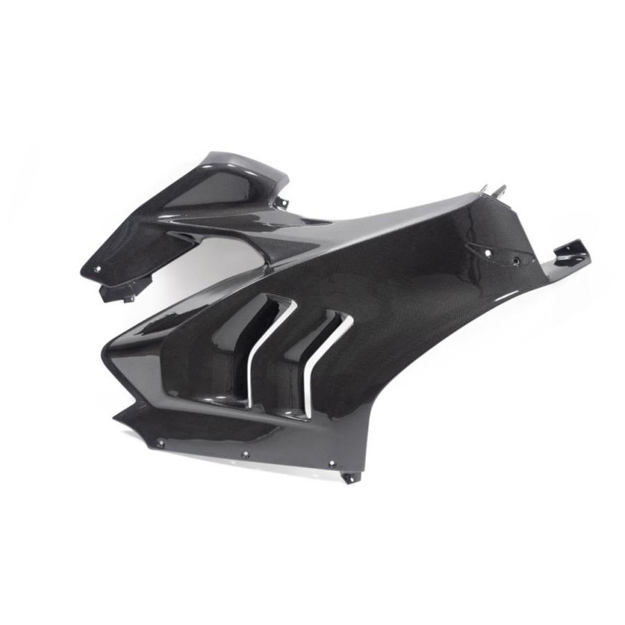 Ilmberger PANIGALE V4 22-23 フェアリングサイドパネル 右（艶あり) VER.005.V422G.K : GIGASTATION ヤフー店 - 通販 - Yahoo ...