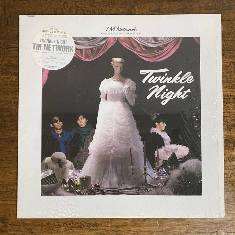 TM NETWORK Twinkle Night TMネットワーク トゥインクルナイト 小室哲哉 宇都宮隆 木根尚登 レコード LP アナロ :20230509171958-01039us ...