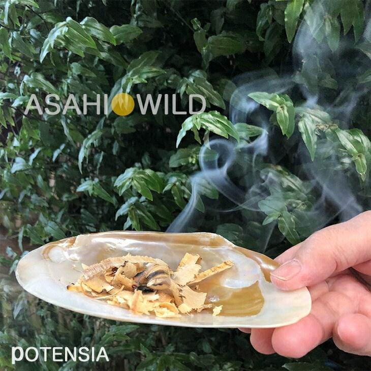 パロサント 香木 20個 送料無料 Palo Santo スティック エクアドル産 聖なる木 癒しの香り 南アメリカ インカ帝国 儀式 浄化 ...