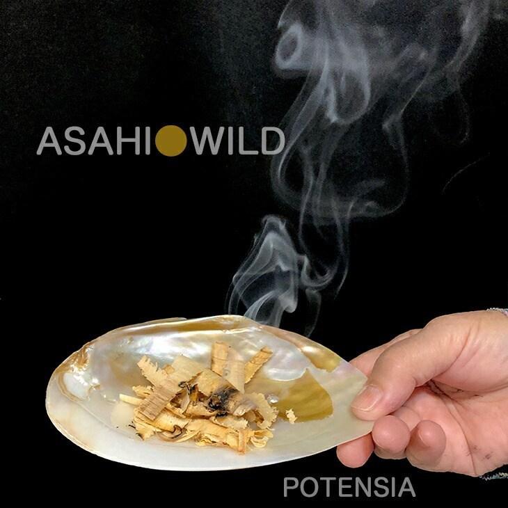 パロサント 香木 40個 送料無料 Palo Santo スティック エクアドル産 聖なる木 癒しの香り 南アメリカ インカ帝国 儀式 浄化 ...