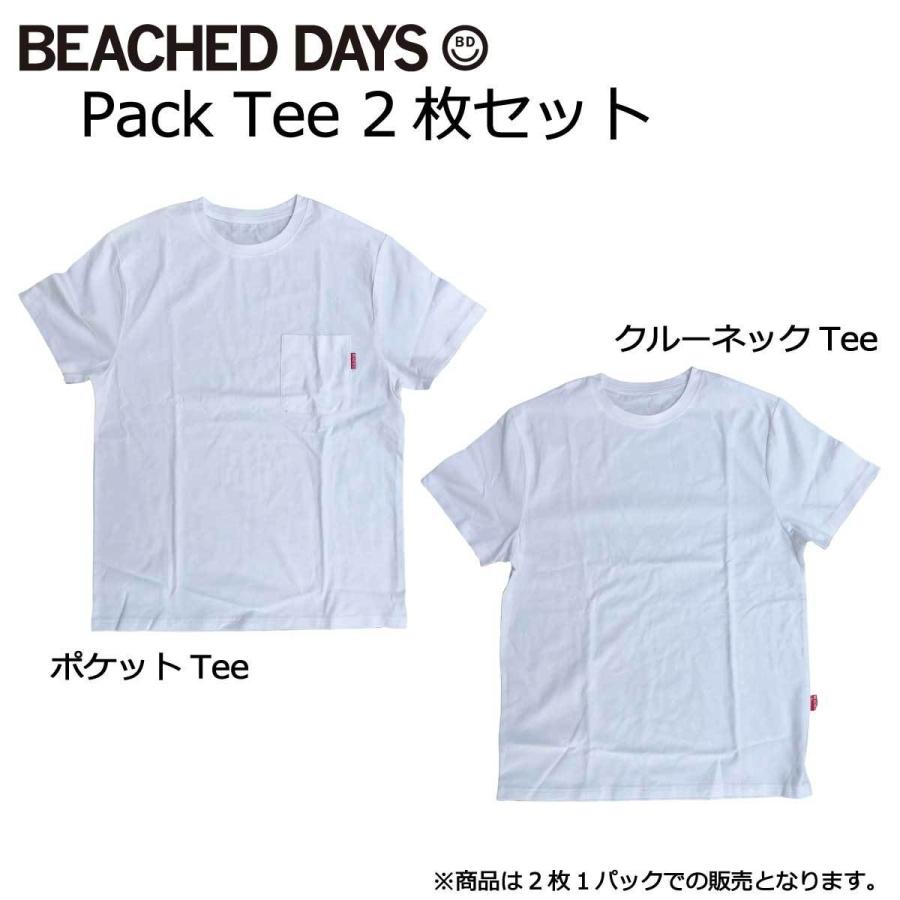 BEACHED DAYS BEACHEDDAYS Pack Tee / ビーチドデイズ 2in1 2枚パック ポケT コットン100% サーフィン アウトドア サーファー : giusto ...