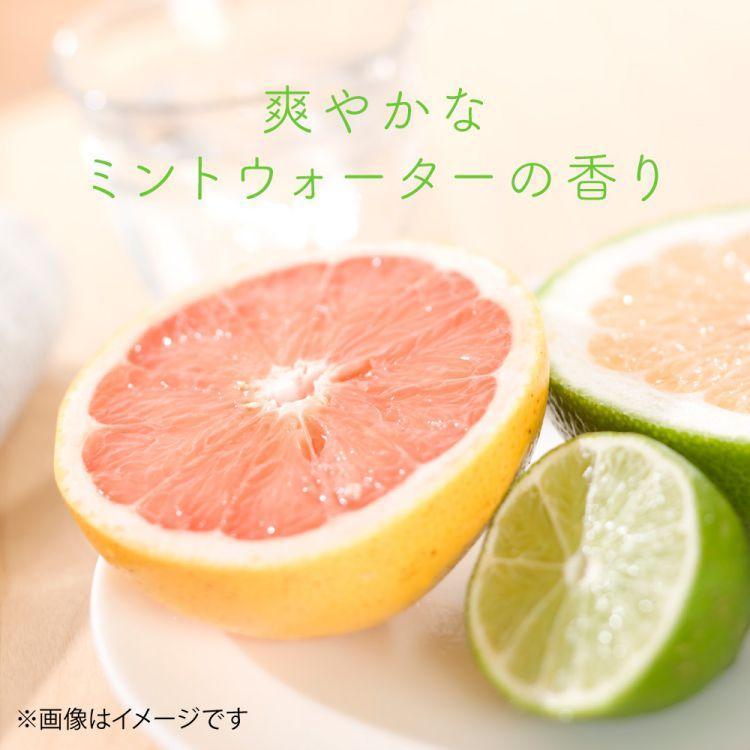 suisai 洗顔 suisai(スイサイ) ビューティクリア ミクロウォッシュ 130g カネボウ : イオンスタイルオンラインGBショップ - 通販 - Yahoo!ショッピング