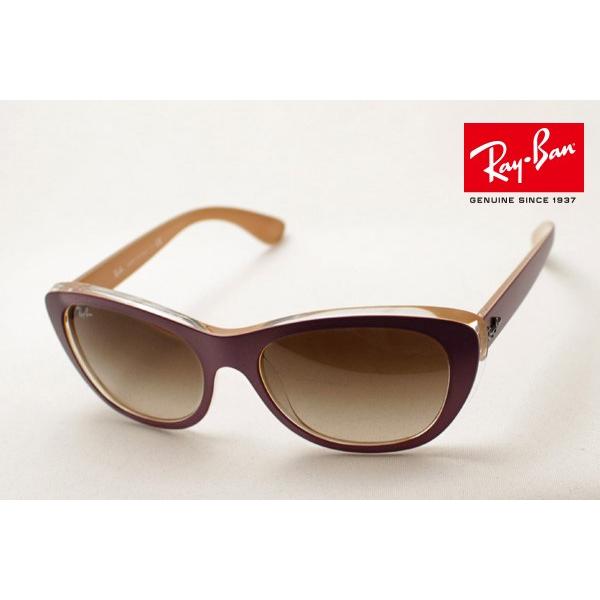 Ray-Ban レイバン サングラス プレミア生産終了モデル RB4227 619213 フォックス : グラスマニア Tokyo ...