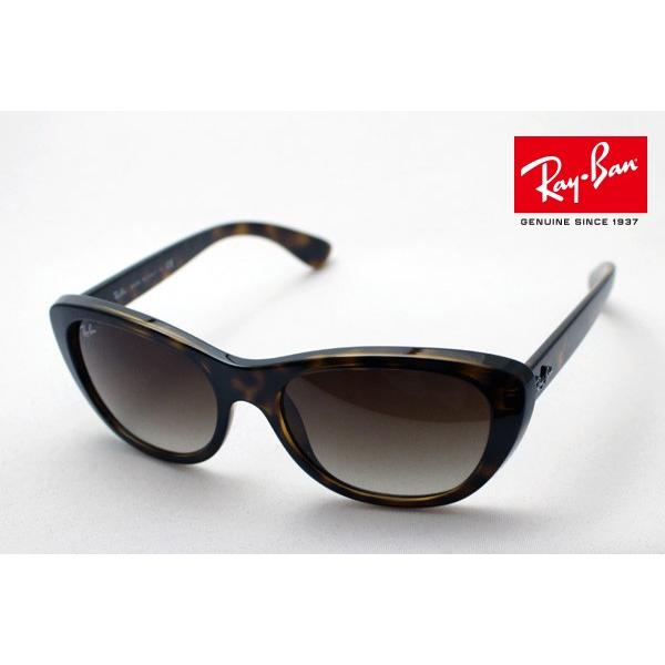 Ray-Ban レイバン サングラス プレミア生産終了モデル RB4227 71013 フォックス : グラスマニア Tokyo Aoyama ...