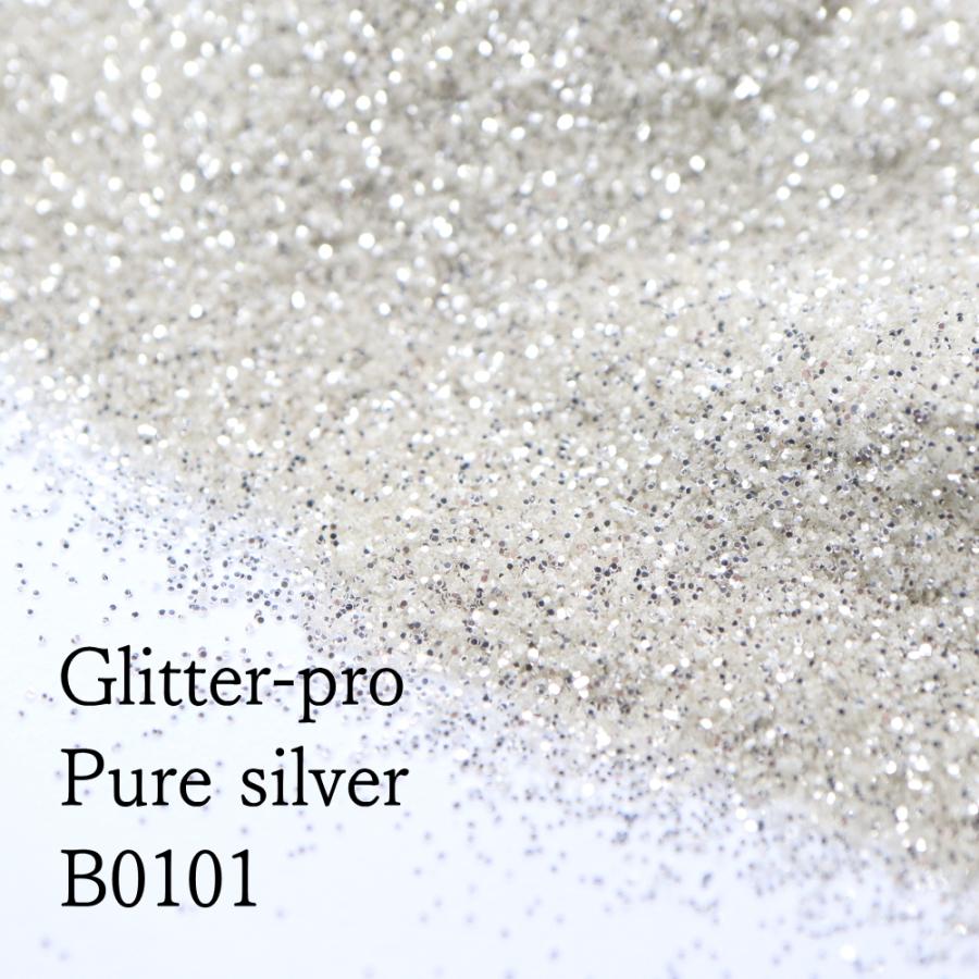 GLEAMS ラメフレーク ( ピュアシルバー ) 100g B0101 ラメパウダー / グリッター 耐溶剤 塗装 吹付 ハンドメイド ...