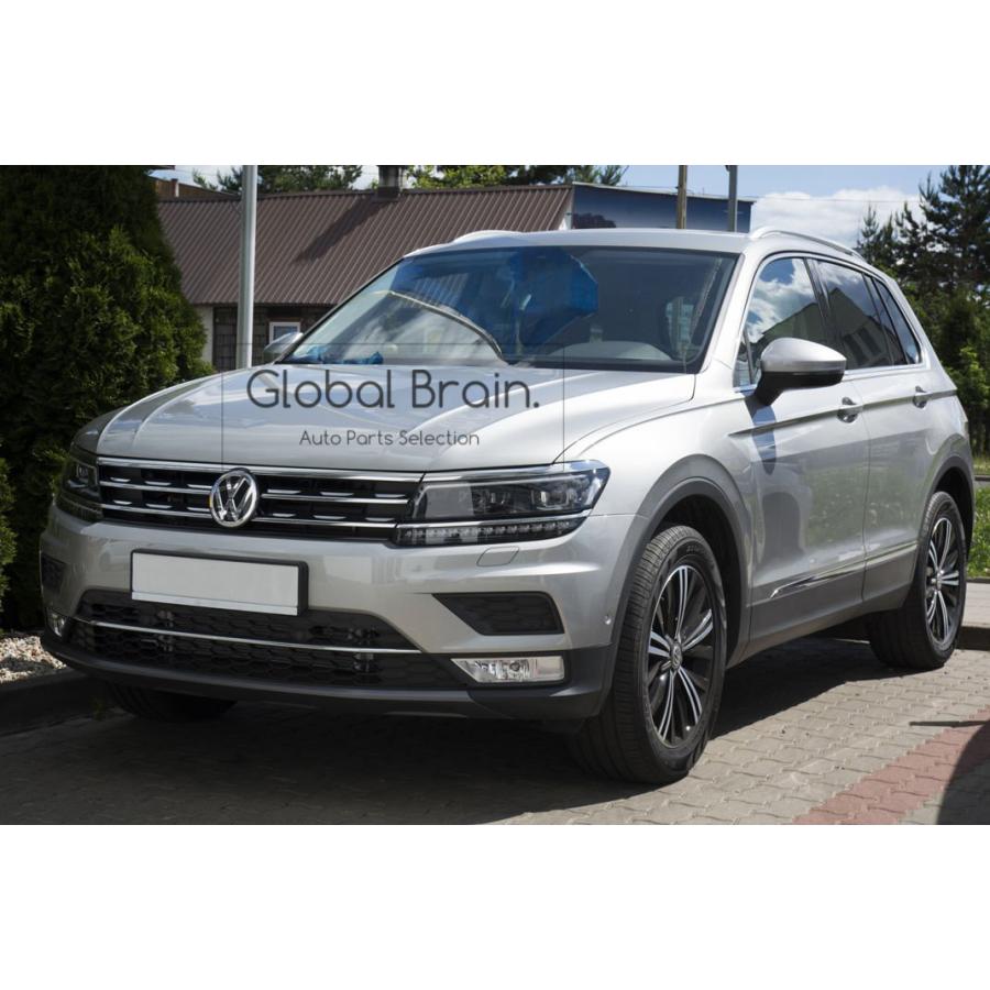 フォルクスワーゲン ティグアン AD1 リア バンパー プロテクター ガード シルバー : vw-tiguan-ad1-rear ...