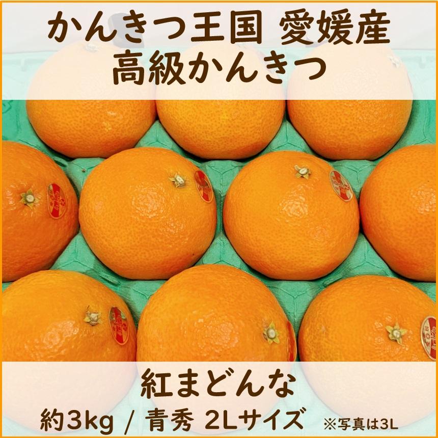 紅まどんな [青秀] 約3kg / 2Lサイズ : グローバルフルーツ - 通販 - Yahoo!ショッピング
