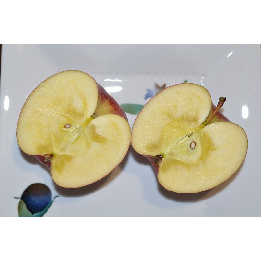 りんご・青森産・葉取らずゼム酵素リンゴ・サンふじ リンゴ 5kg 16玉前後【贈答用】 : ごちそうギフト市場 - 通販 - Yahoo!ショッピング