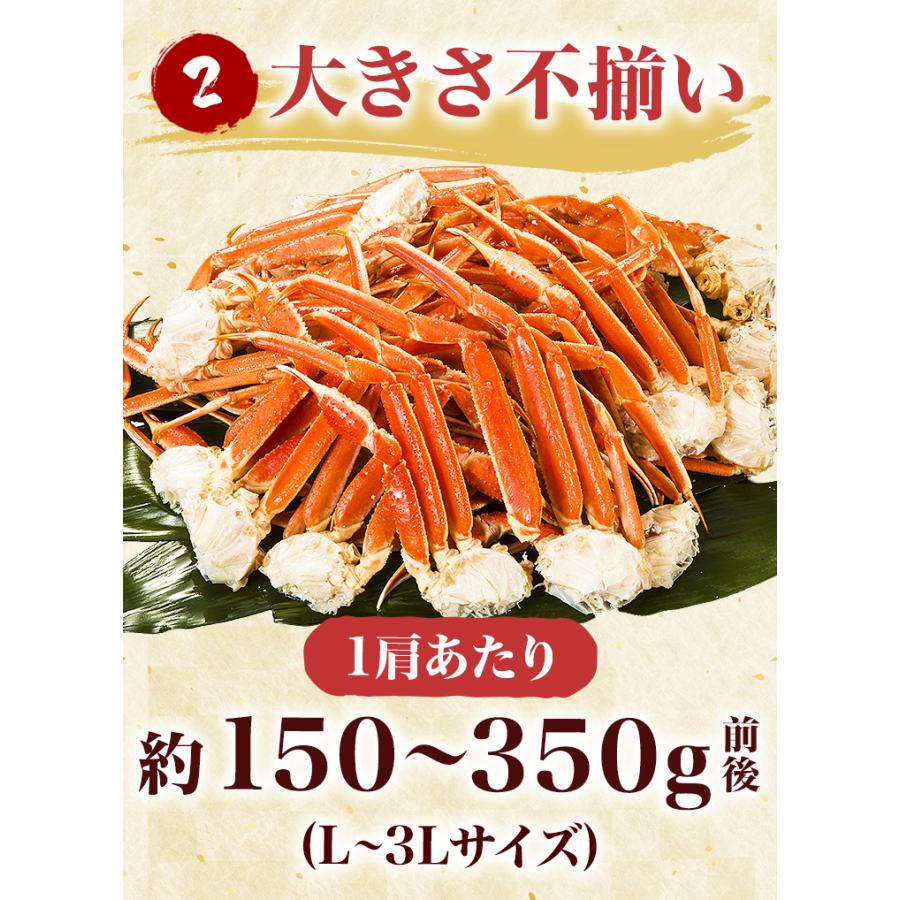 約8~21肩約3.6kg 訳ありボイルズワイガニ肩付き脚 L~3Lサイズ ズワイガニ ずわいがに 蟹 かに カニ ボイルズワイ ボイルずわい 全国送料無料 : ごちそうマーケット - 通販 ...