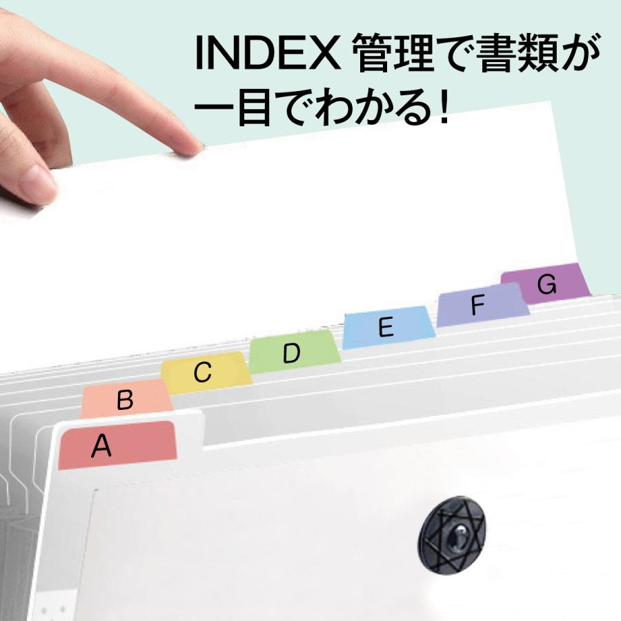 ドキュメントファイル ドキュメントケース A4 12ポケット ファイルケース 書類ケース 持ち運び クリアファイル クリアポケット 便利 docu-file : ご注文ドットコム - 通販 ...