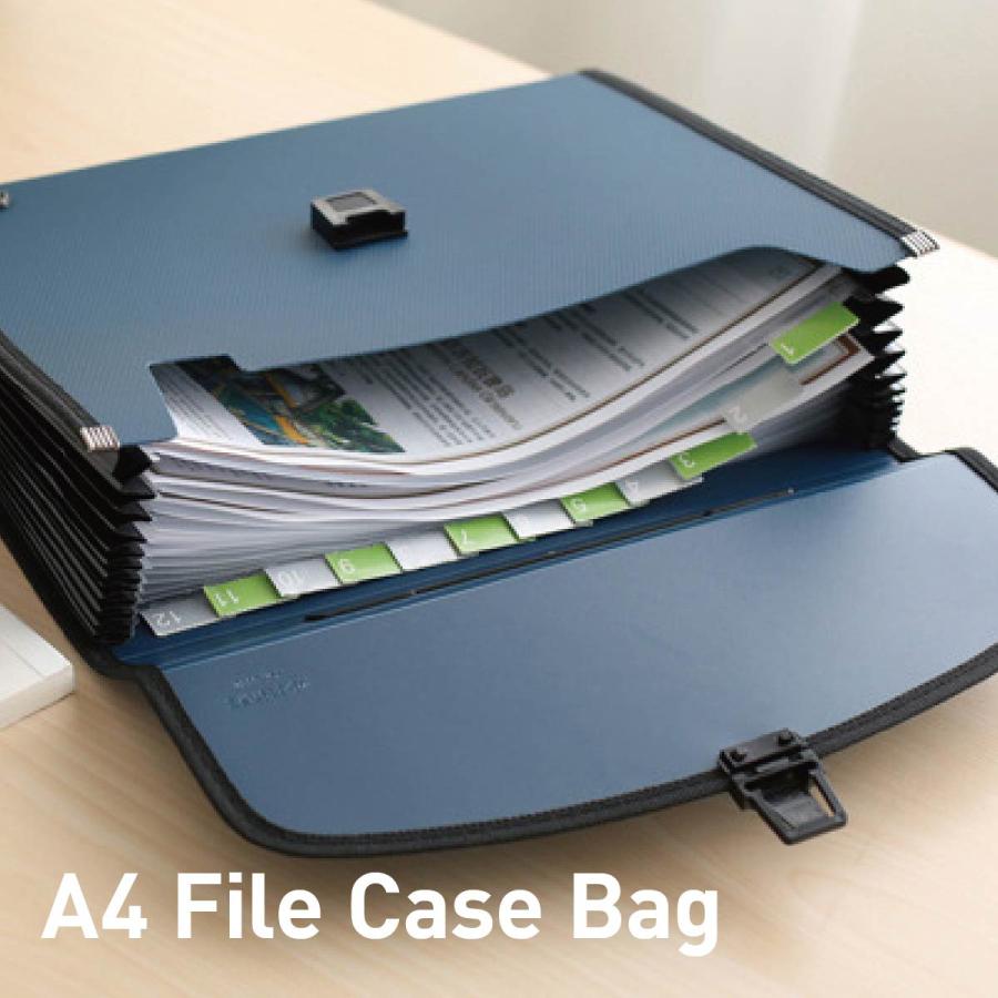 バッグ型 ファイルケース A4 ドキュメントファイル ドキュメントケース13ポケット 書類ケース 持ち運び クリアファイル クリアポケット ...