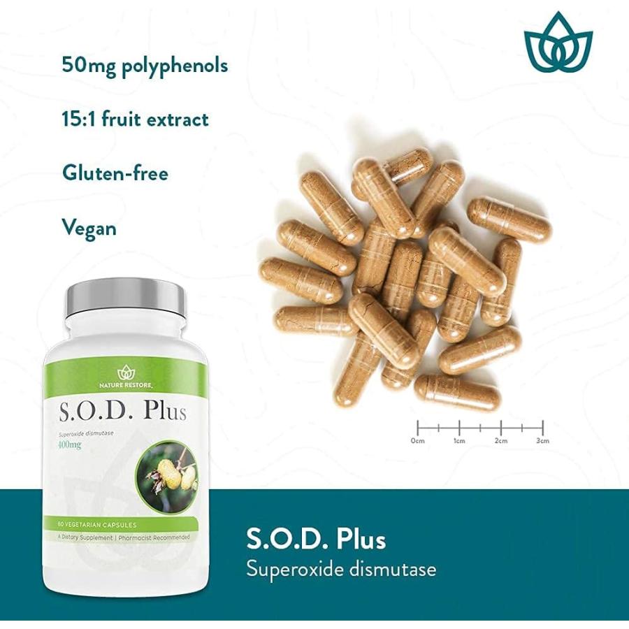 Nature Restore S.O.D. Superoxide Dismutase Supplement, 4,000 IU SOD ...